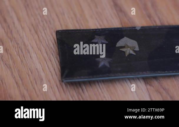 Army lieutenant badge Stock Videos & Footage - HD and 4K Video Clips ...