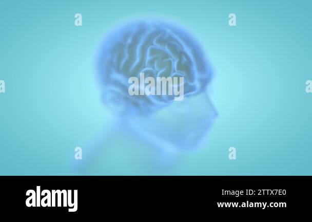 Transparent human male head with visible brain revolving in 3d space ...