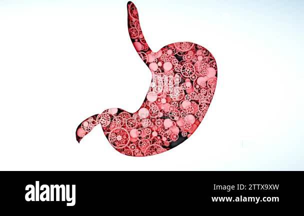 the healthy stomach from gears. Anatomy concept. Realistic 4k flat ...