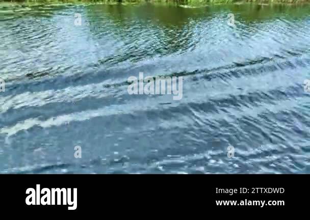 Wooded river landscape Stock Videos & Footage - HD and 4K Video Clips ...