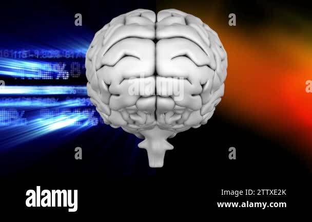 Digital animation white brain with two backgrounds, on the left side ...