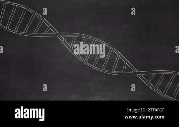 Hand drawn DNA strand rotating on the black chalkboard. Seamless loop ...