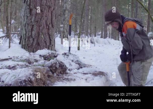 Ecologist in the forest digging a soil slit Stock Video Footage - Alamy