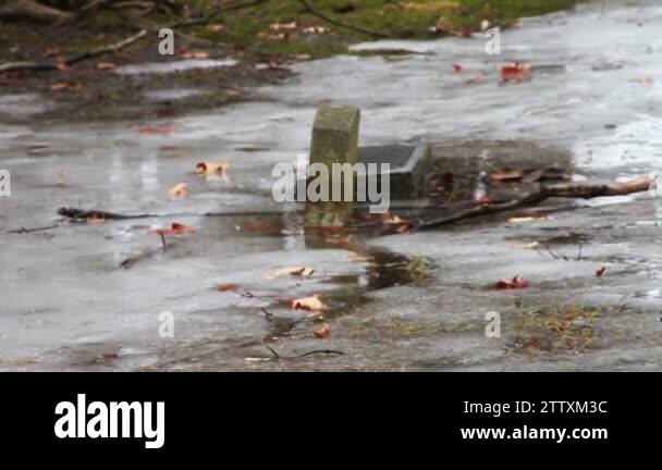 Love tombstone Stock Videos & Footage - HD and 4K Video Clips - Alamy
