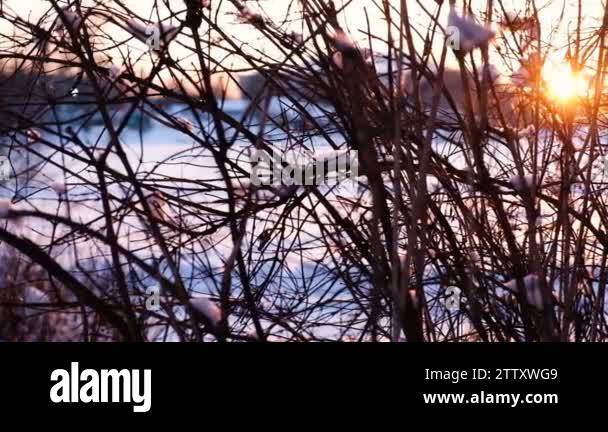 Movement of the camera from left to right, sunset rays shine through ...