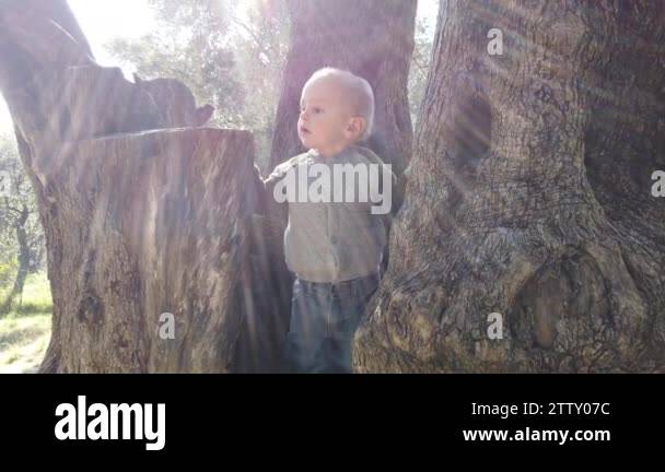 Cute Little Baby Boy Climbing On Old Olive Tree, Parc Du Cap Martin In ...