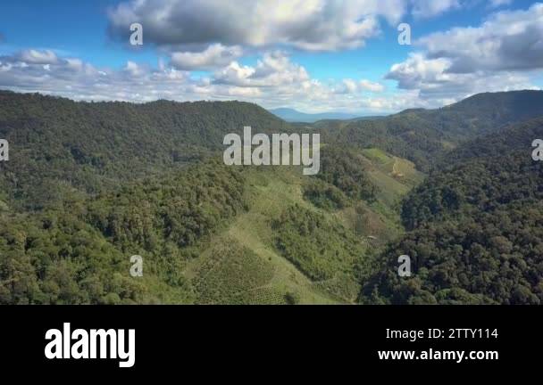 pictorial upper panorama boundless tropical highland with overhead ...