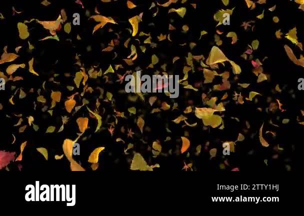 4k Realistic Falling Foliage Video Background Loop. Falling autumn ...