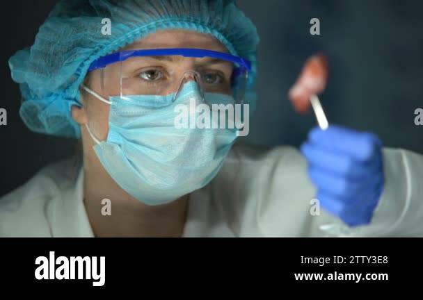 Laboratory assistant analyzing sample Stock Videos & Footage - HD and ...