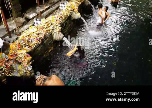 Unidentified Balinese families come to the sacred springs water temple of Tirta Empul in Bali ...