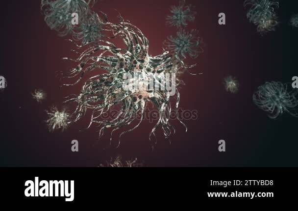 Germs microorganism cell Stock Videos & Footage - HD and 4K Video Clips ...