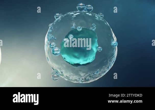 Artificial insemination in a scientific laboratory under a close-up ...