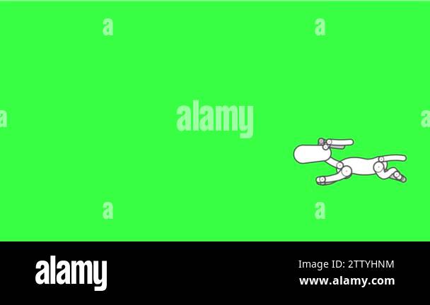 Dog running green screen Stock Videos & Footage - HD and 4K Video Clips ...
