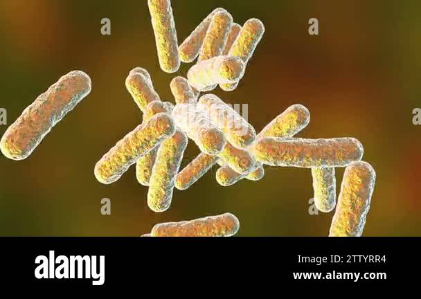 Pathogenic bacteria Stock Videos & Footage - HD and 4K Video Clips - Alamy