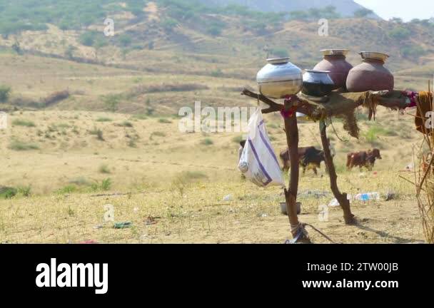 Pastoral use Stock Videos & Footage - HD and 4K Video Clips - Alamy