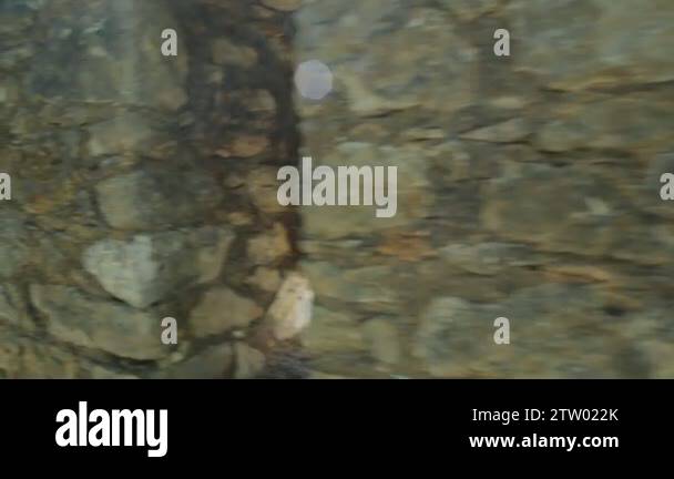 Arrow cross castle wall Stock Videos & Footage - HD and 4K Video Clips ...