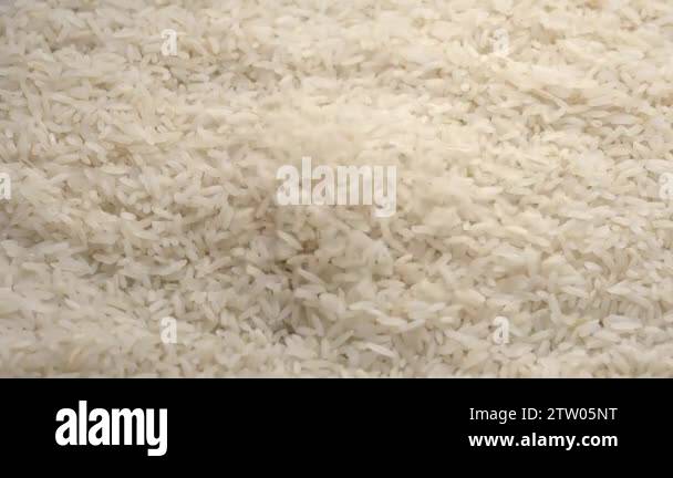 Grain rice cut out Stock Videos & Footage - HD and 4K Video Clips - Alamy