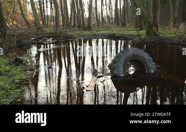 Old tyre and other garbage lies on the waterlogged river bank ...