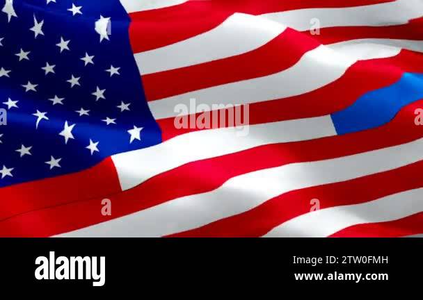 EMERGENCY SERVICE waving flag. National 3d police, firefighters, 911 ...