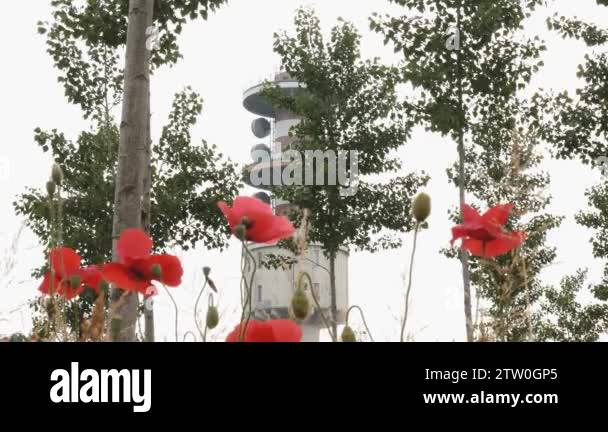 Tower poplar Stock Videos & Footage - HD and 4K Video Clips - Alamy