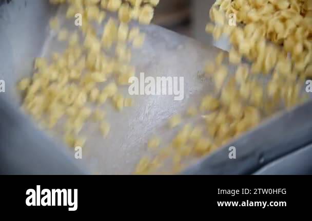 Dropping macaroni from a conveyor belt at the pasta factory - slow ...