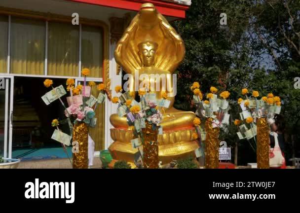 Money buddha Stock Videos & Footage - HD and 4K Video Clips - Alamy