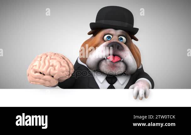 Brain of britain Stock Videos & Footage - HD and 4K Video Clips - Alamy