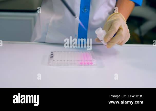 Researcher hand Stock Videos & Footage - HD and 4K Video Clips - Alamy