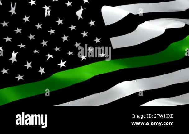 Border Patrol Agents responder flag video waving in wind. Realistic ...