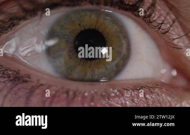 SLOW MOTION CLOSE UP: Detail of pretty green eye looking left and right ...