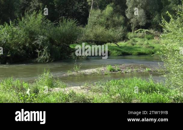 Inland river delta Stock Videos & Footage - HD and 4K Video Clips - Alamy