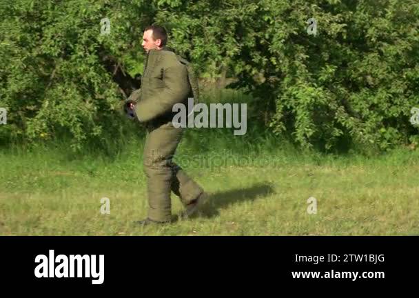 Dogs attacking Stock Videos & Footage - HD and 4K Video Clips - Alamy