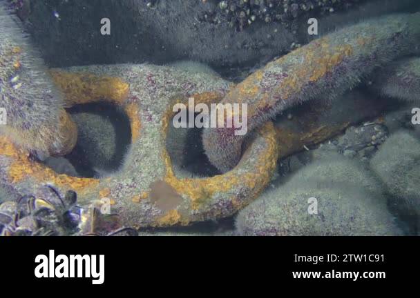 Huge anchor Stock Videos & Footage - HD and 4K Video Clips - Alamy