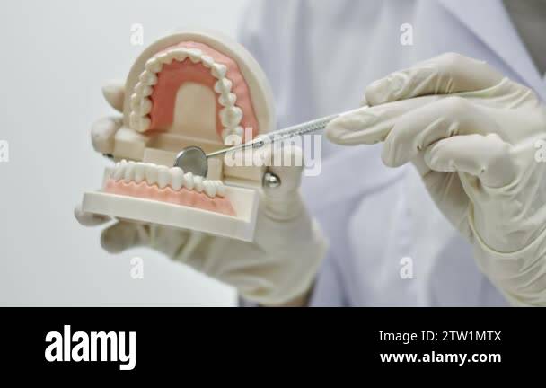 Dentist showing to the camera how to use a tool. Dentist showing jaw ...