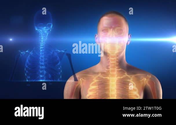 Skeleton medical Stock Videos & Footage - HD and 4K Video Clips - Alamy