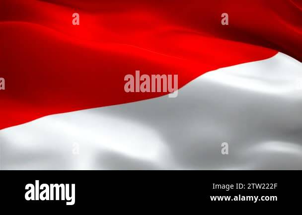 Monaco flag waving in wind video footage Full HD. Realistic Monaco Flag ...