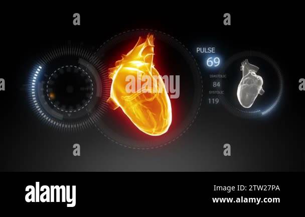 Human heart beat trace monitor Stock Videos & Footage - HD and 4K Video ...
