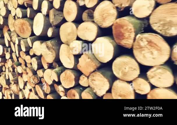 Log farm Stock Videos & Footage - HD and 4K Video Clips - Alamy