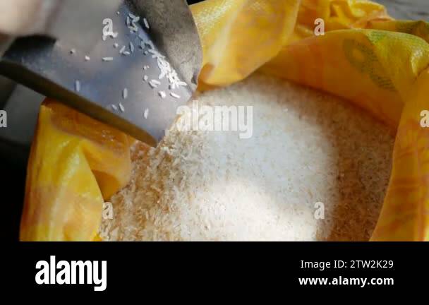 Paddy sack Stock Videos & Footage - HD and 4K Video Clips - Alamy