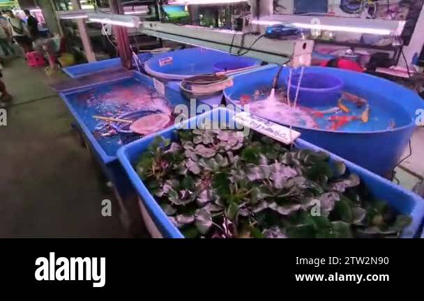 The largest markets Stock Videos & Footage - HD and 4K Video Clips - Alamy