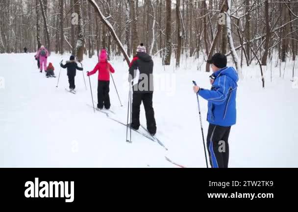 Eight trees Stock Videos & Footage - HD and 4K Video Clips - Alamy