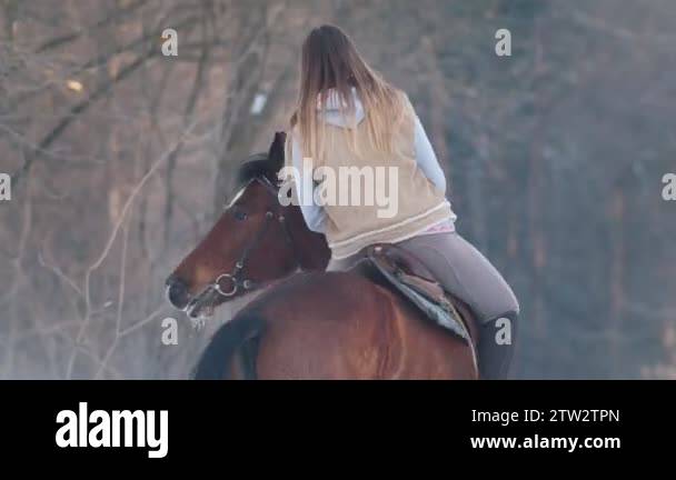 Horse snorting Stock Videos & Footage - HD and 4K Video Clips - Alamy