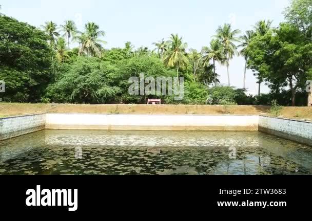Temple pond Stock Videos & Footage - HD and 4K Video Clips - Alamy