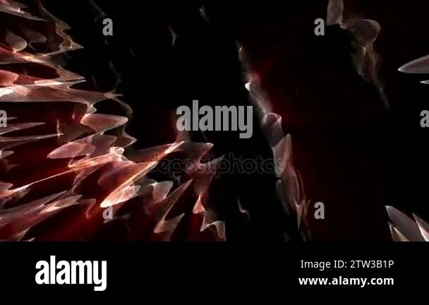 3d waveforms Stock Videos & Footage - HD and 4K Video Clips - Alamy