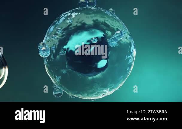 Artificial insemination in a scientific laboratory under a close-up ...