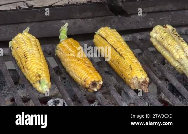 Burnt husk Stock Videos & Footage - HD and 4K Video Clips - Alamy