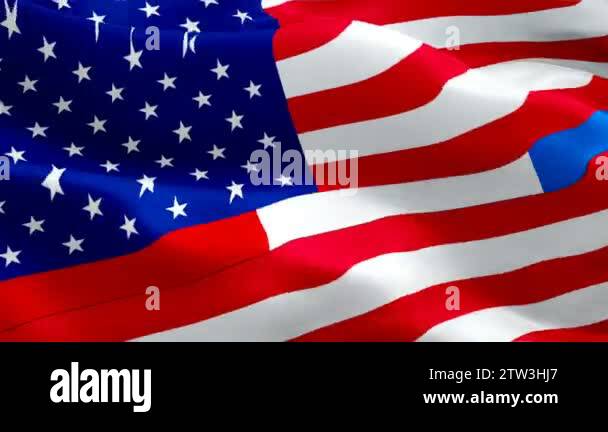 EMERGENCY SERVICE Flag Wave Loop waving in wind. Realistic police ...