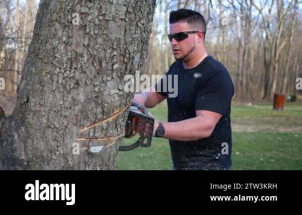 Handsome tree Stock Videos & Footage - HD and 4K Video Clips - Alamy