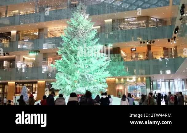 Kitte mall Stock Videos & Footage - HD and 4K Video Clips - Alamy