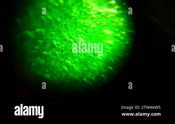 Mucous substance under the microscope. Research substance. Adhesive ...